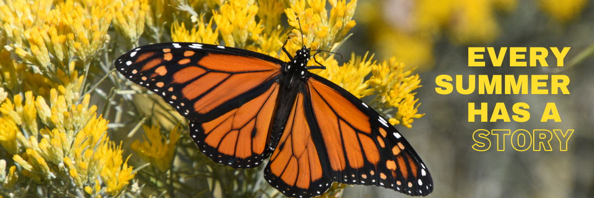 Hampton Public Library :: Hampton Public Library
